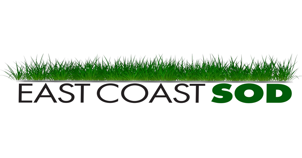 Fresh Premium Sod Delivered to Your Door – East Coast Sod