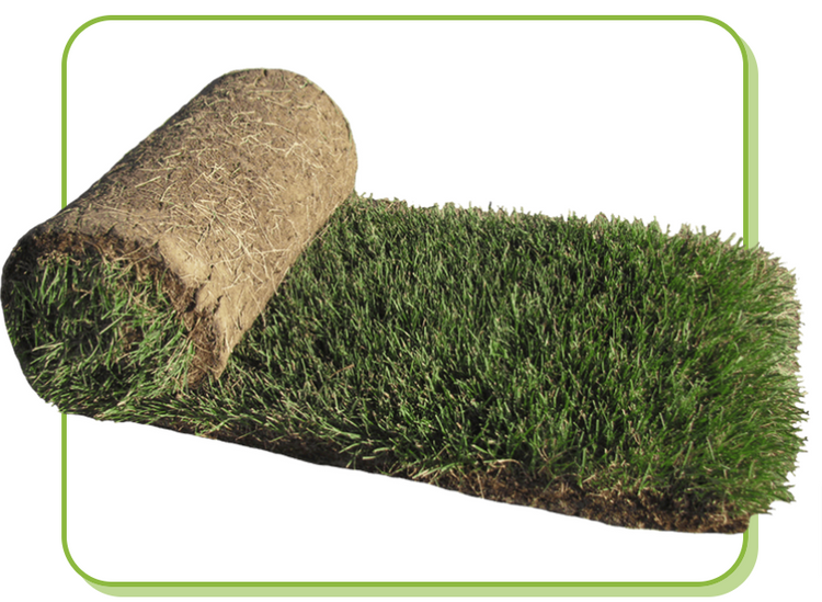 Fresh Premium Sod Delivered to Your Door – East Coast Sod